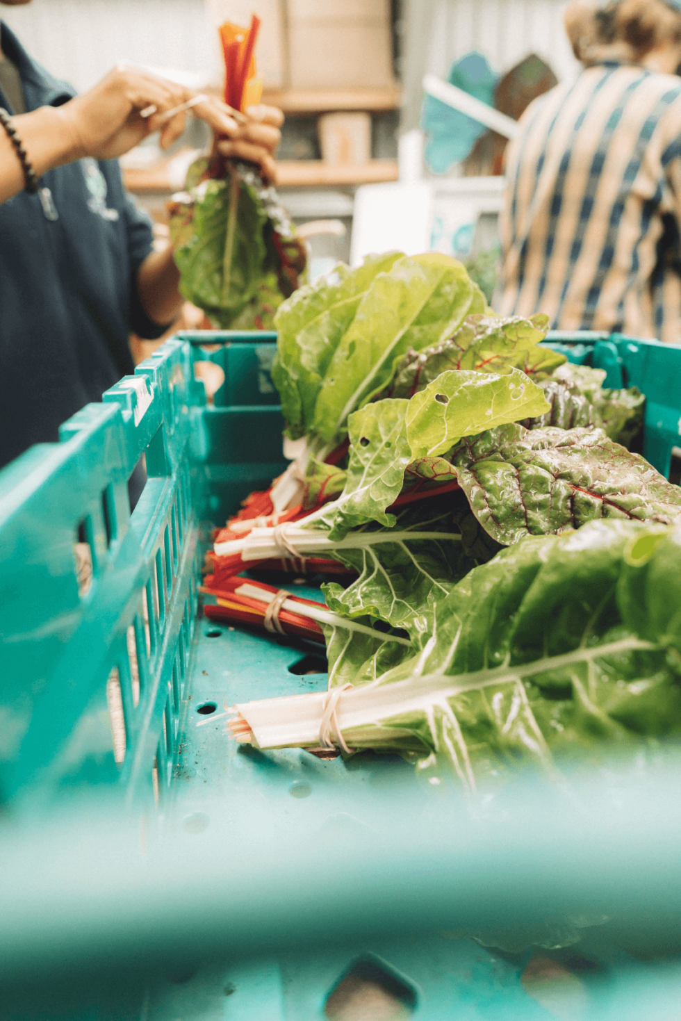 Lauriston Farm | The Nest